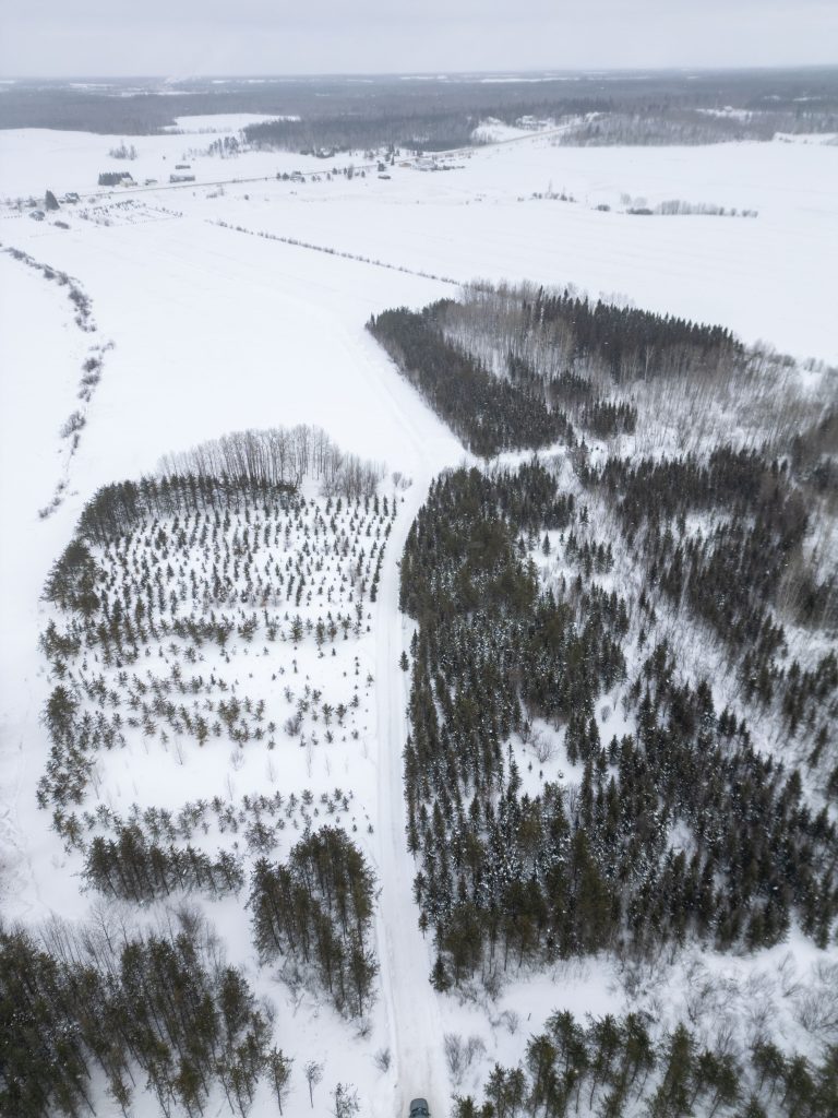 La triade forestière : trois zones, une vision commune pour la forêt - AFAT
